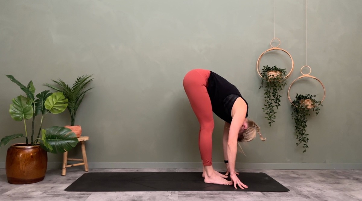 Dyrk yoga, meditation og akupressur - når du vil, og hvor du vil